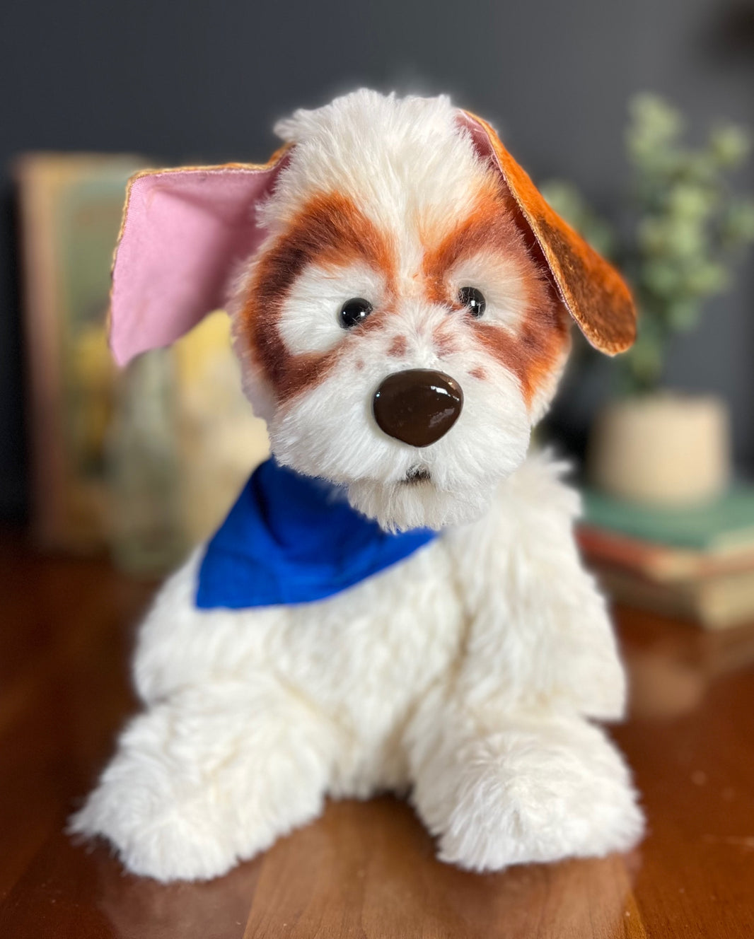 Adoptable Plushies – Furkid Studio